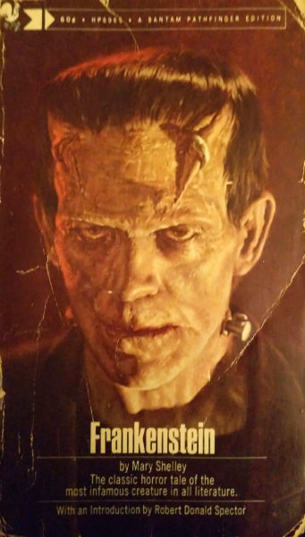 All Covers for Frankenstein, or, The Modern Prometheus